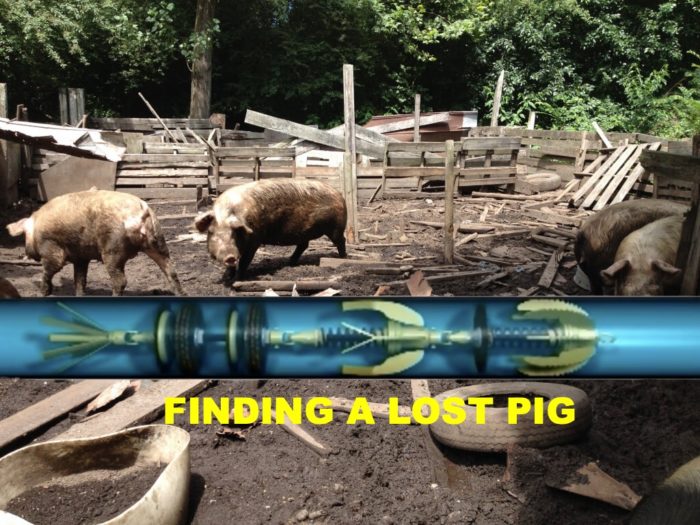 How to Find a Lost Cleaning Pig In a Pipe Using a Mag-Probe – BlogBartol